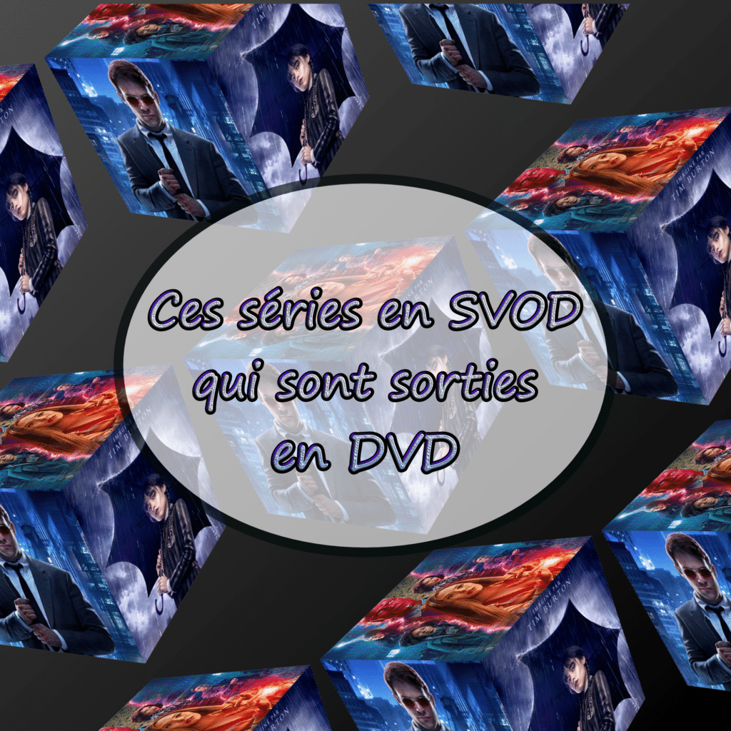 Ces séries en SVOD qui sont sorties en DVD
